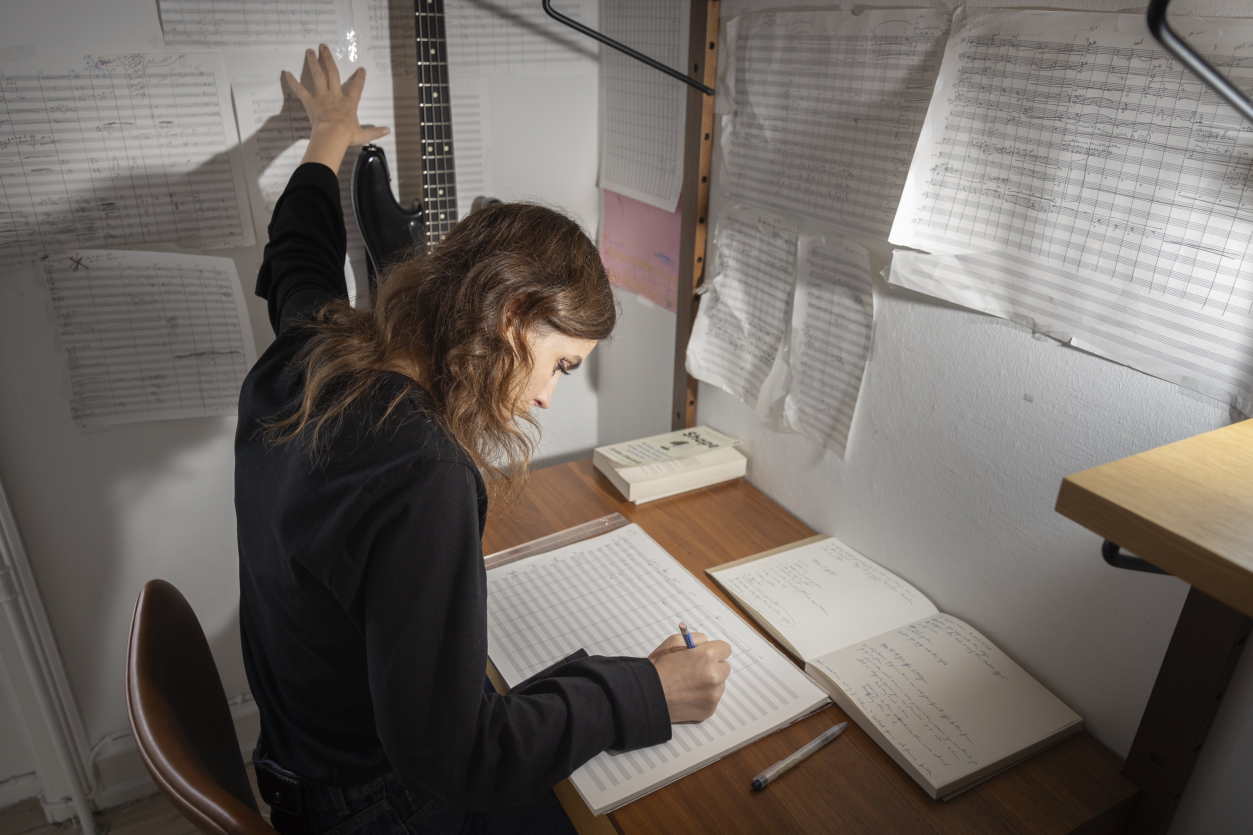 Skrigets transformation | Seismograf